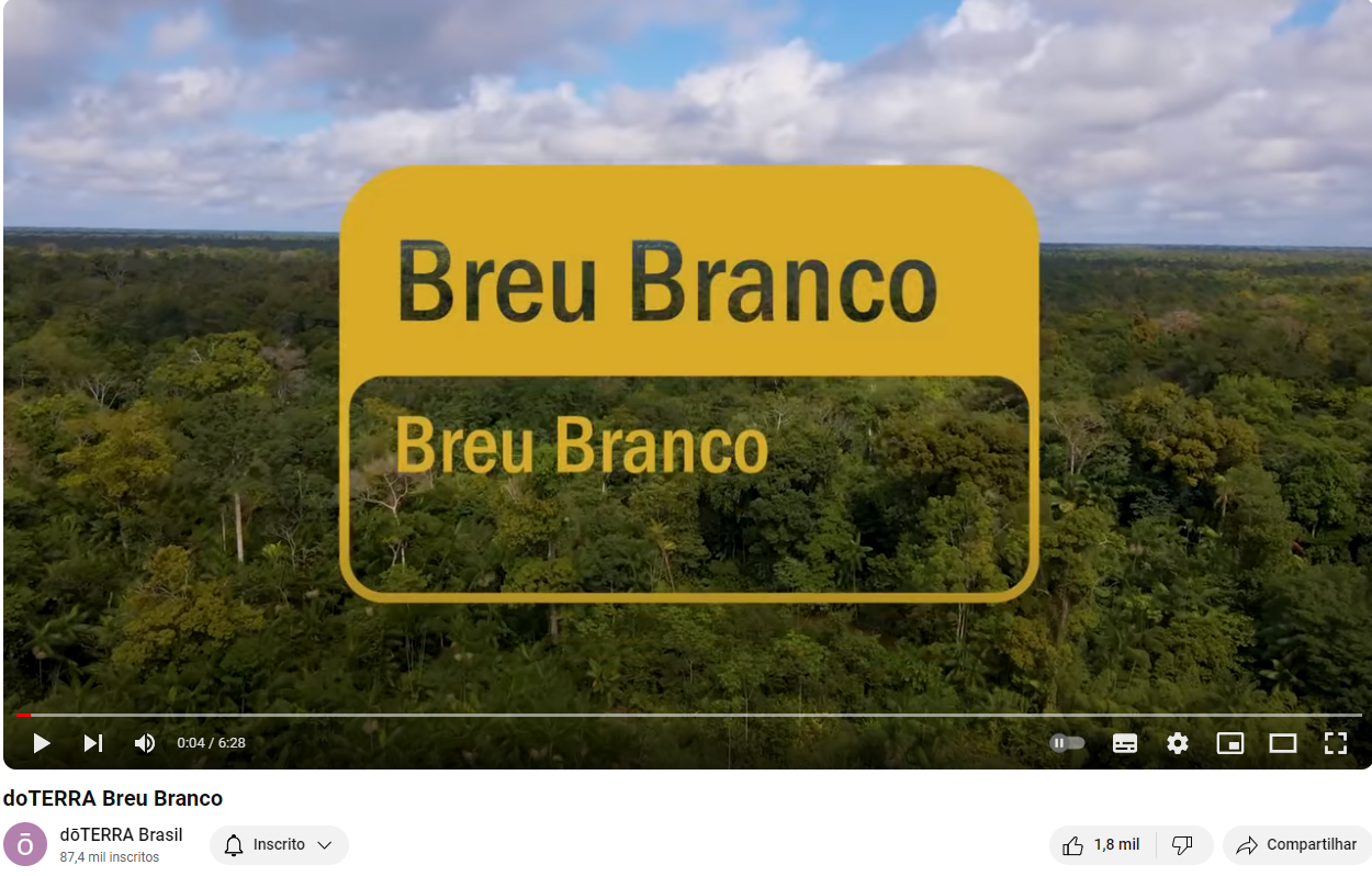 Assista a incrível jornada do Óleo essencial de Breu Branco